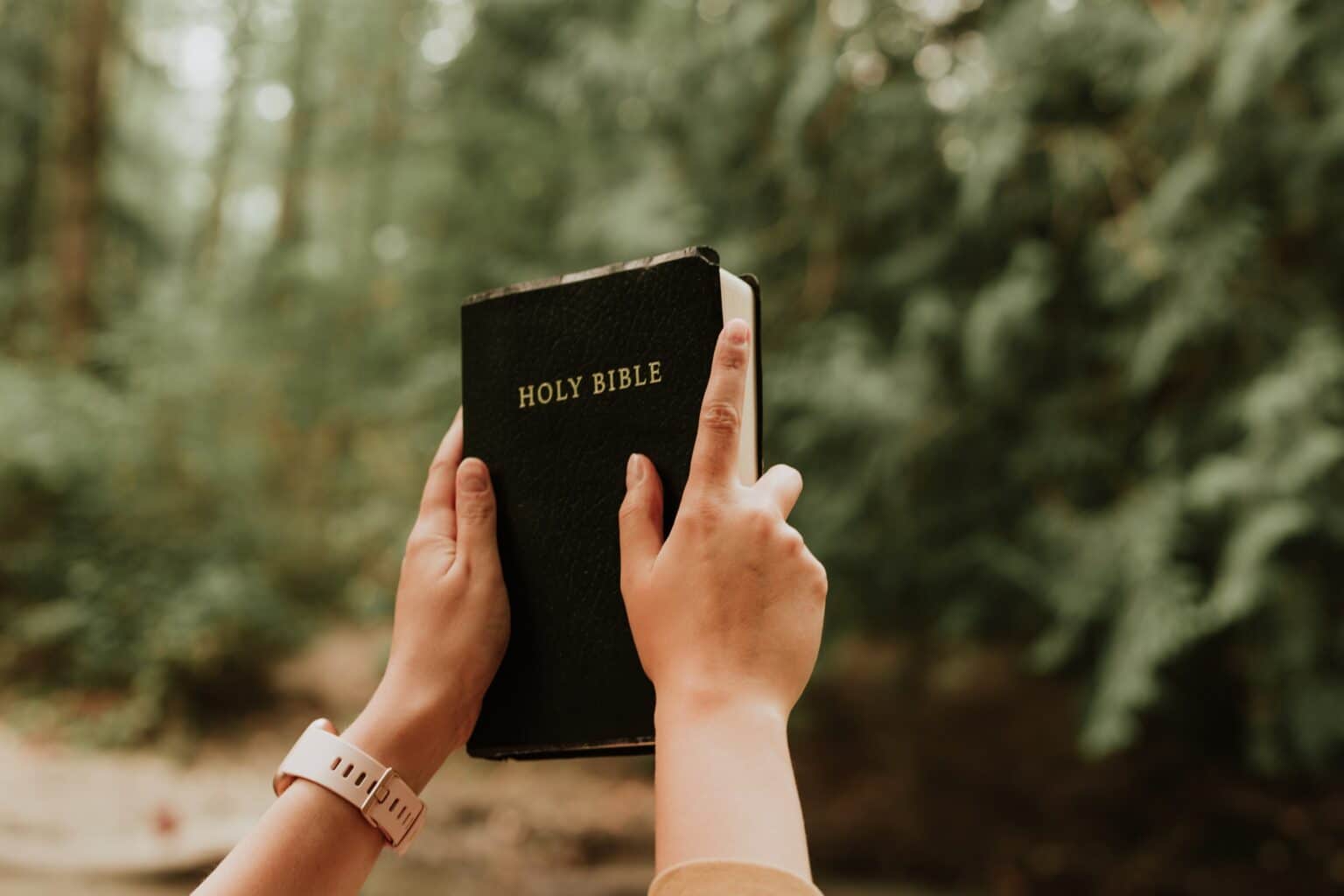 The Incredible Meaning Of Psalm 19:1
